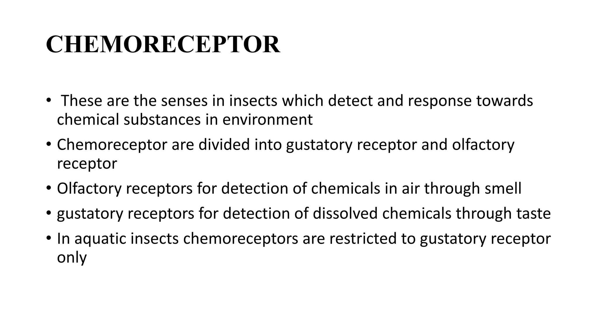 structure and type of sensila and their distribution in insect | PPTX