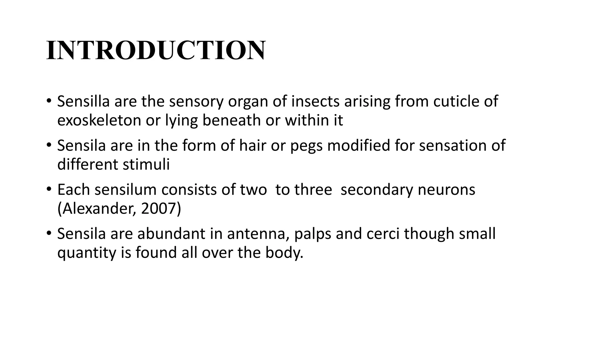structure and type of sensila and their distribution in insect | PPTX