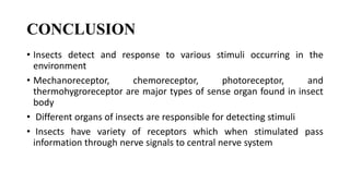 structure and type of sensila and their distribution in insect | PPTX