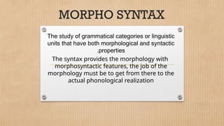 MORPHO SYNTACTIC ANALYSIS Use these slides and notes.pptx