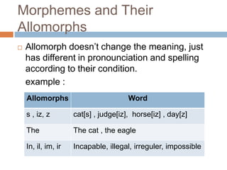 Morphology Word and Its Parts (Root and Afixes) | PPTX