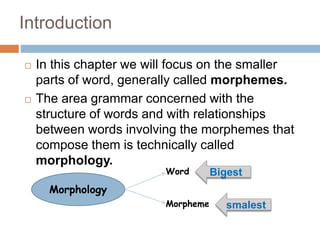 Morphology Word and Its Parts (Root and Afixes) | PPTX
