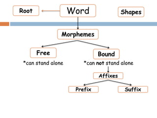 Morphology Word and Its Parts (Root and Afixes) | PPTX