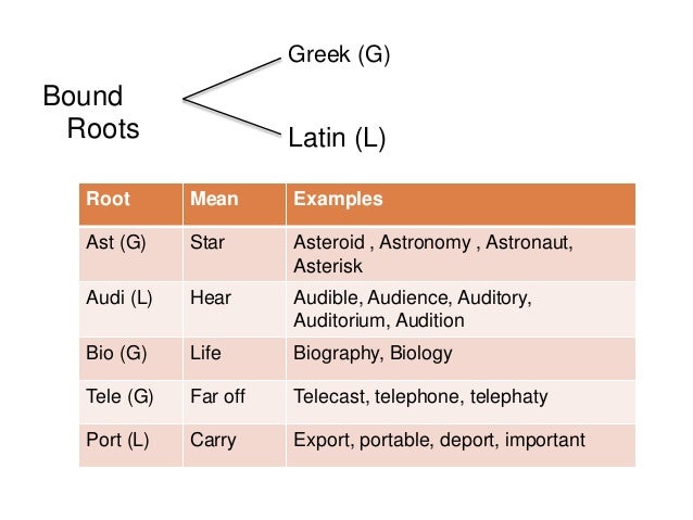 Morphology Word and Its Parts (Root and Afixes)
