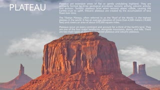 MORPH POWERPOINT PRESENTATION TEMPLATE.pptx
