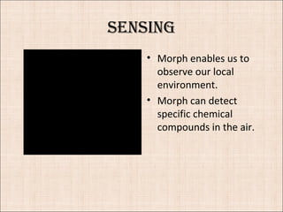 Morph | PPT
