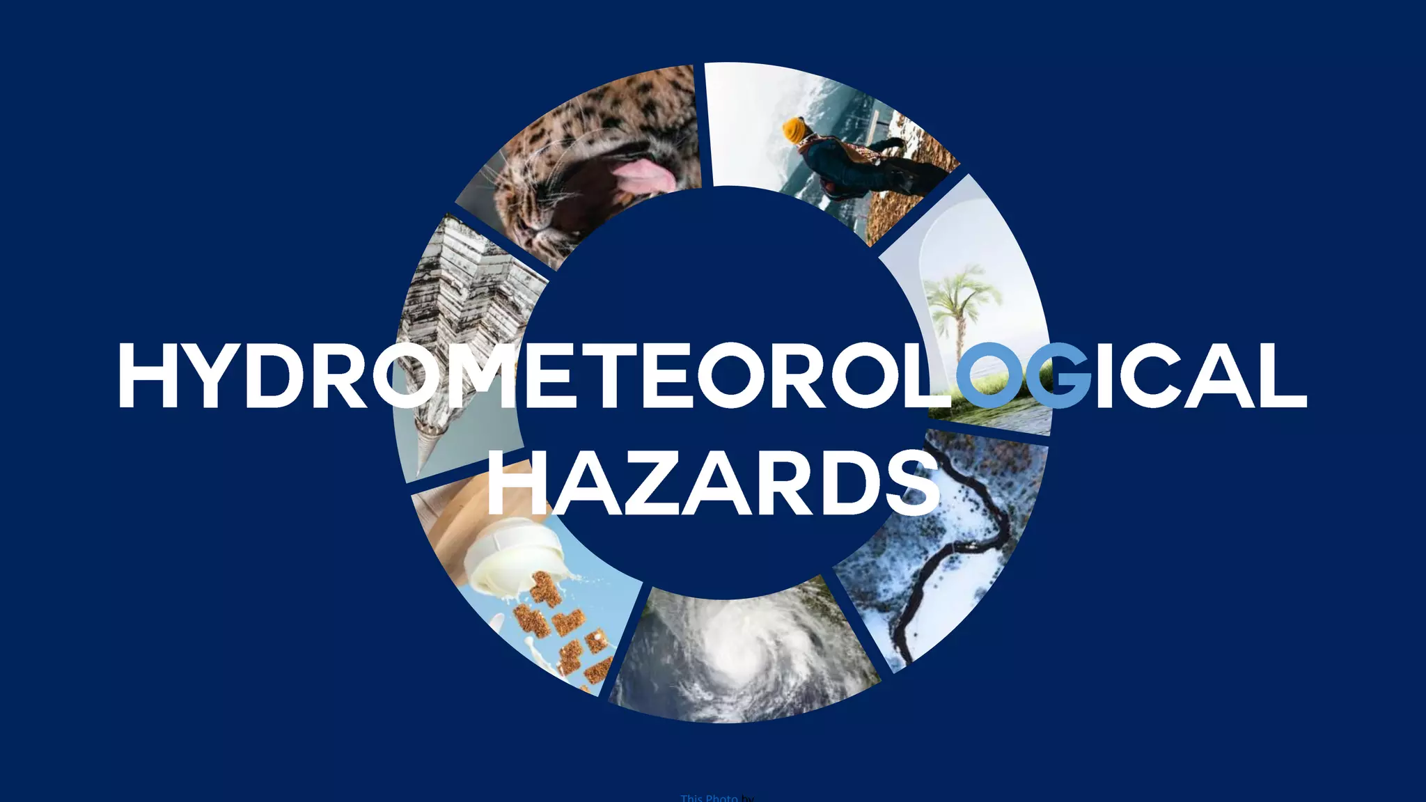 Morph Presentation.pptx