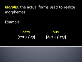 Morphs and allomorphs | PPTX