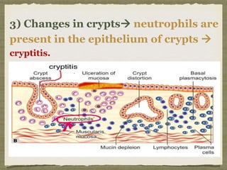 Morphology of ulcerative colitis | PPT