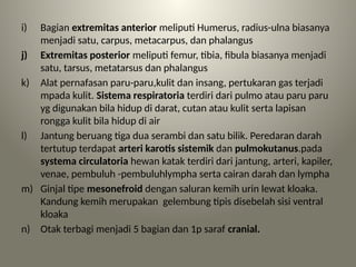 MORPOLOGI DAN ANATOMI HEWAN UNIVERSITAS GUNUNG LEUSER | PPTX