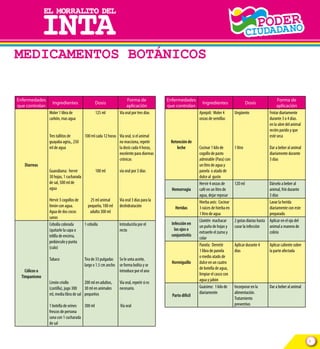 Morralito sanidad animal | PDF