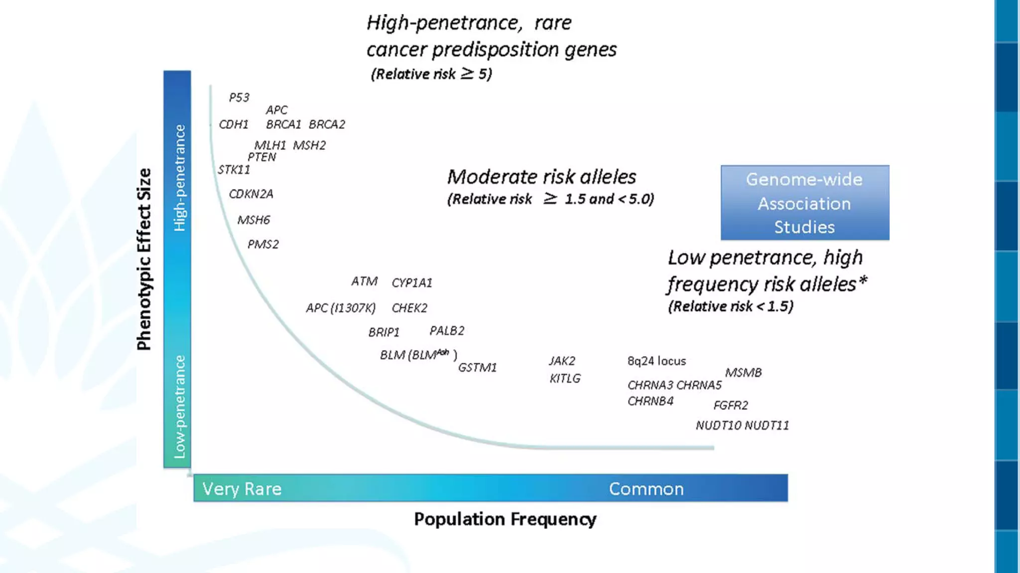 Hereditary Genetics focusing on Prostate Cancer | PDF