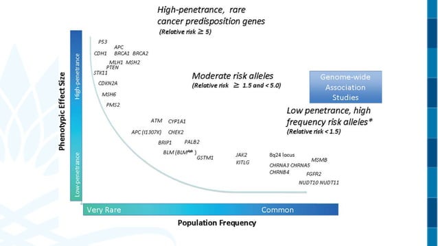 Hereditary Genetics focusing on Prostate Cancer | PDF