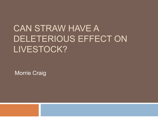 Can Straw Have a Deleterious Effect on Livestock? | PPT