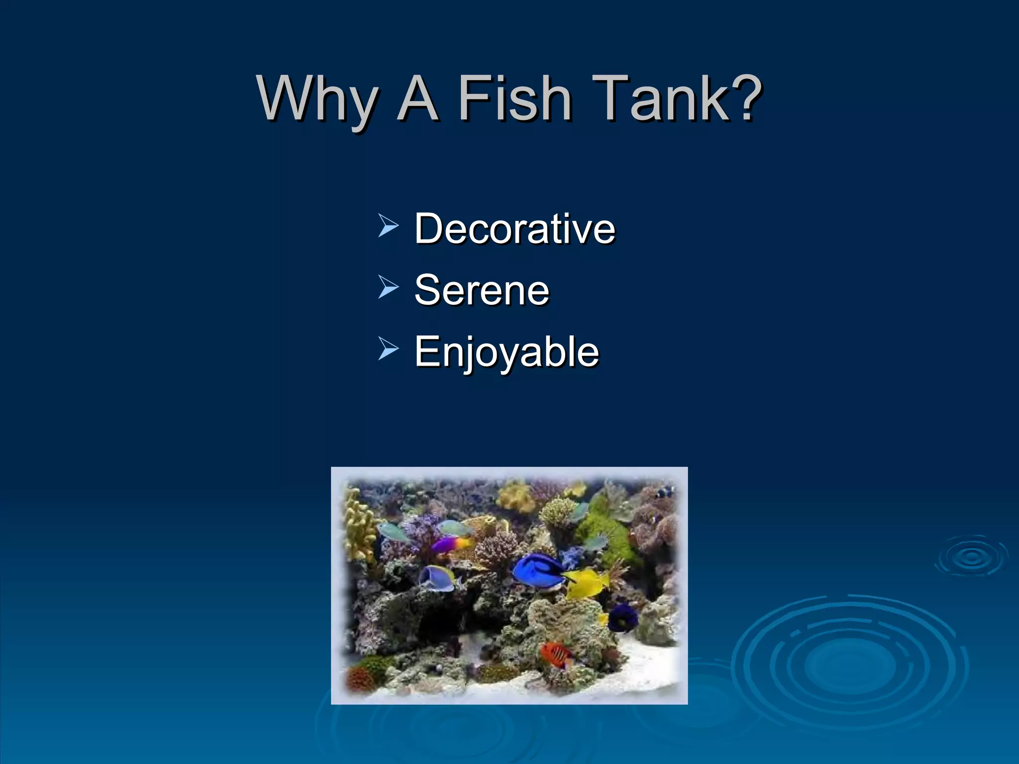 Freshwater Aquariums | PPT