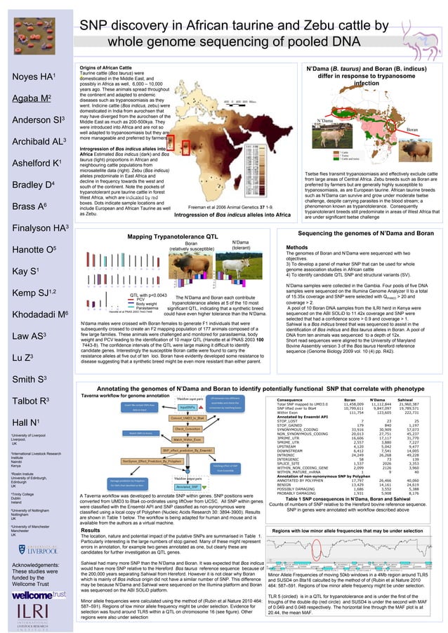 SNP discovery in African taurine and Zebu cattle by whole genome ...