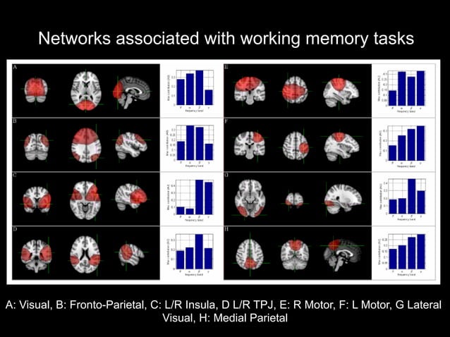 Multimodal functional MRI (多模态功能磁共振成像) | PDF