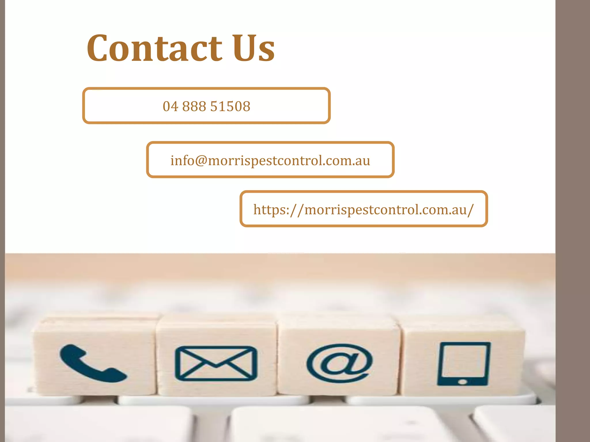 Morris Pest Control | PPTX