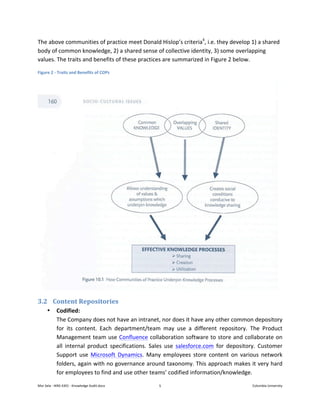 Example of a Knowledge Audit for a tech startup by Mor Sela | PDF