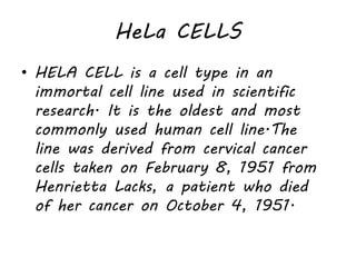 Mortal and immortal cell lines | PPTX