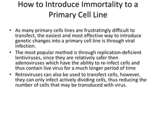 Mortal and immortal cell lines | PPTX