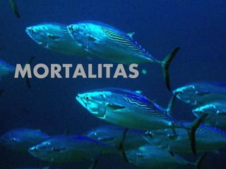MOrtalitas.pptx