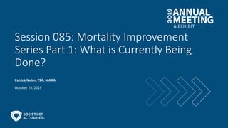 Mortality Improvement | PDF