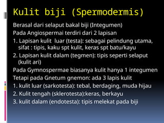 MATERI PERKULIAHAN MORFOLOGI TUMBUHAN-BIJI.pptx