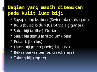 MATERI PERKULIAHAN MORFOLOGI TUMBUHAN-BIJI.pptx
