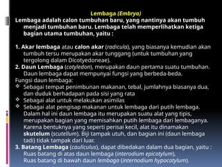MATERI PERKULIAHAN MORFOLOGI TUMBUHAN-BIJI.pptx