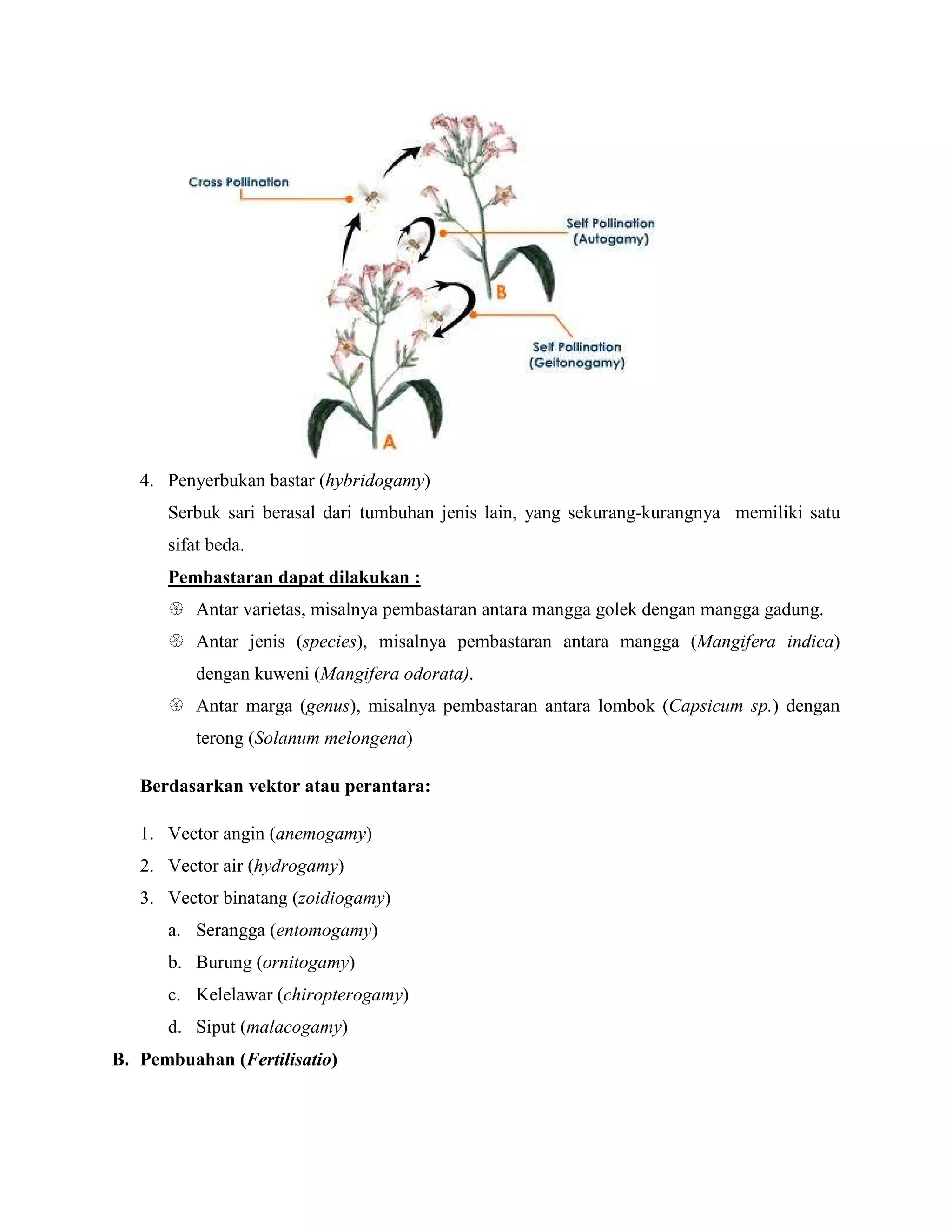 Penyerbukan & Pembuahan Bunga | PDF