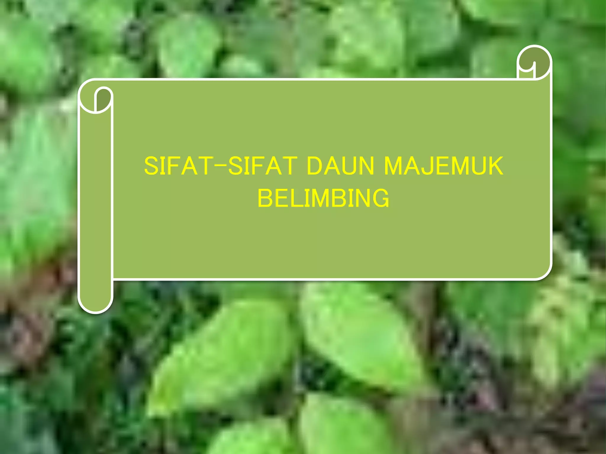 Mortum sifat daun | PPTX