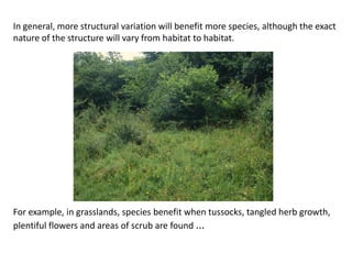 mosaic approach to landscape management. #biodiversity | PPSX