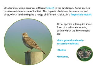 mosaic approach to landscape management. #biodiversity | PPSX