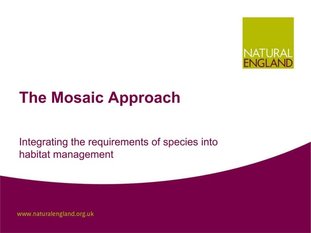 NE Mosaic approach: Managing habitats for species - introduction | PPS ...