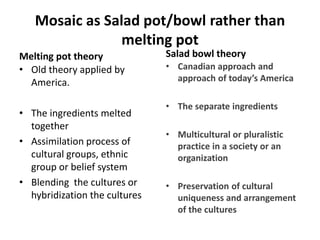 Mosaic leadership approach to address pluralism | PPT