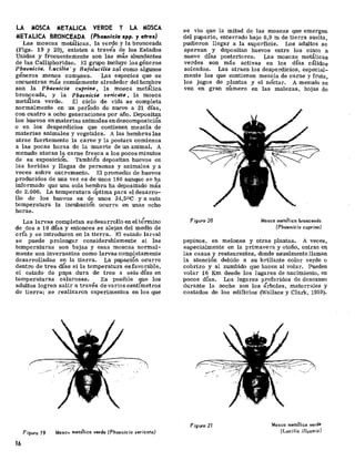 MOSCAS DE IMPORTANCIA PARA LA SALUD PUBLICA.pdf