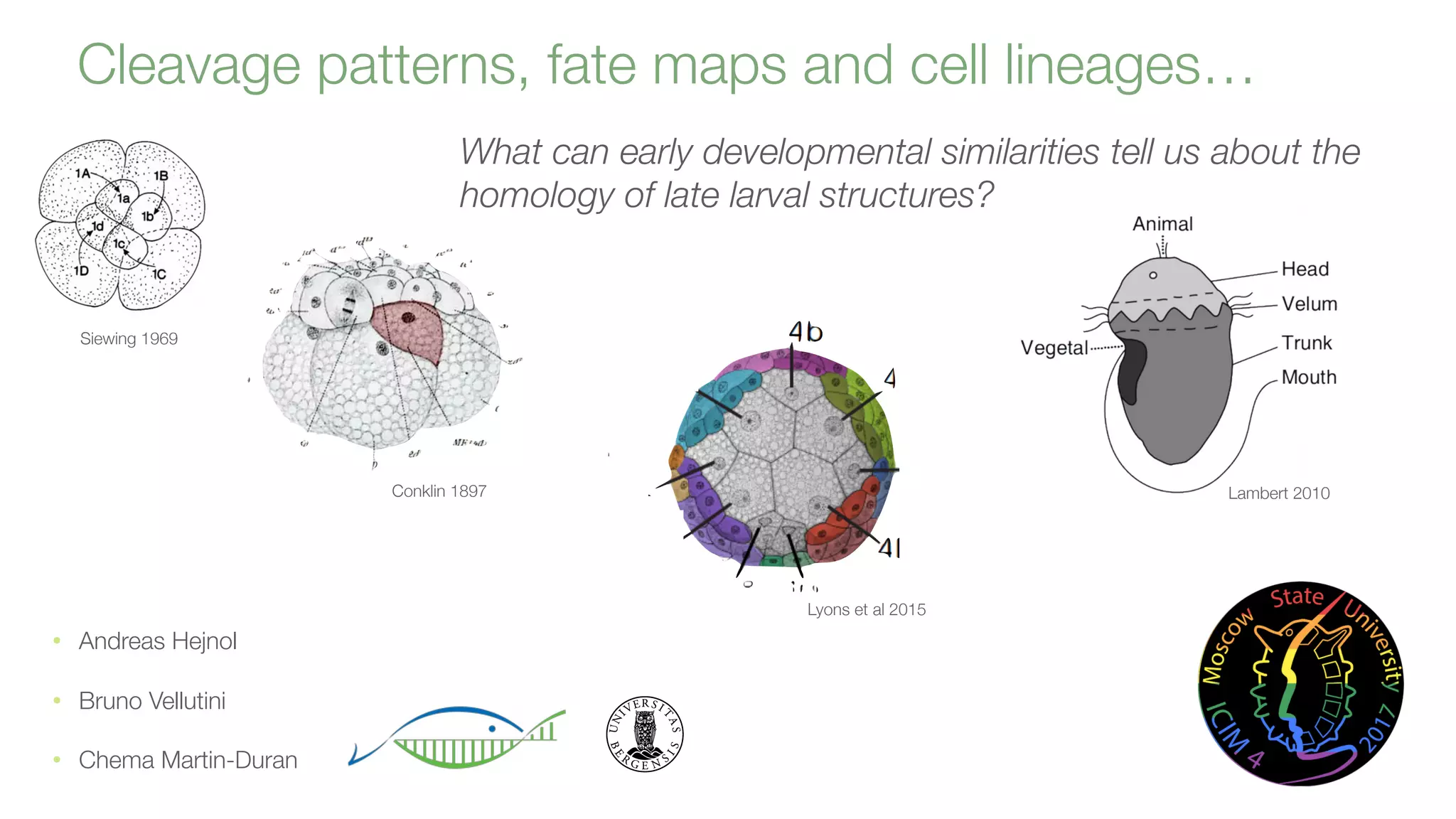 Cleavage patterns, fate maps and cell lineages… What can early ...