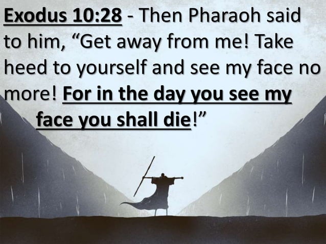 Moses and his choice | PPT | Free Download