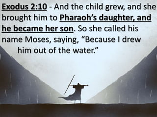Moses and his choice | PPTX