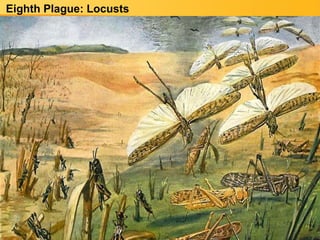 Moses and the exodus pgp | PPT