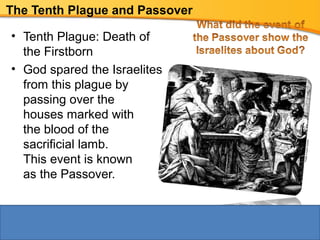 Moses and the exodus pgp | PPT