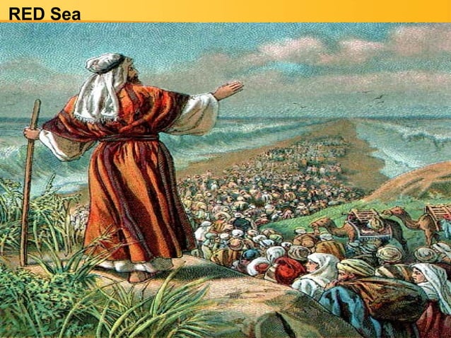 Moses and the exodus pgp | PPT