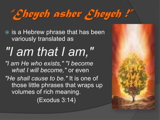 Moses egr experience | PPT