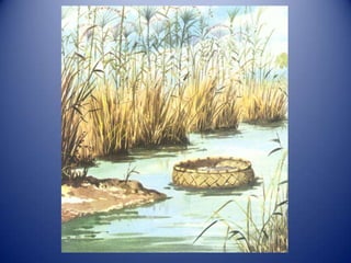 Moses is born | PPTX | Christianity | Religion & Spirituality