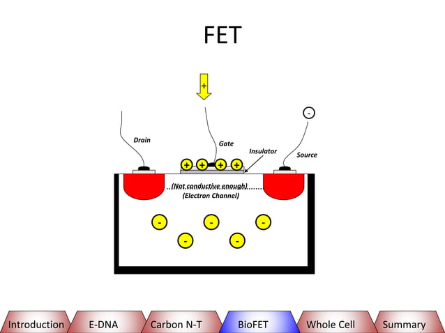 Metal Insulator Semiconductor devices | PPTX