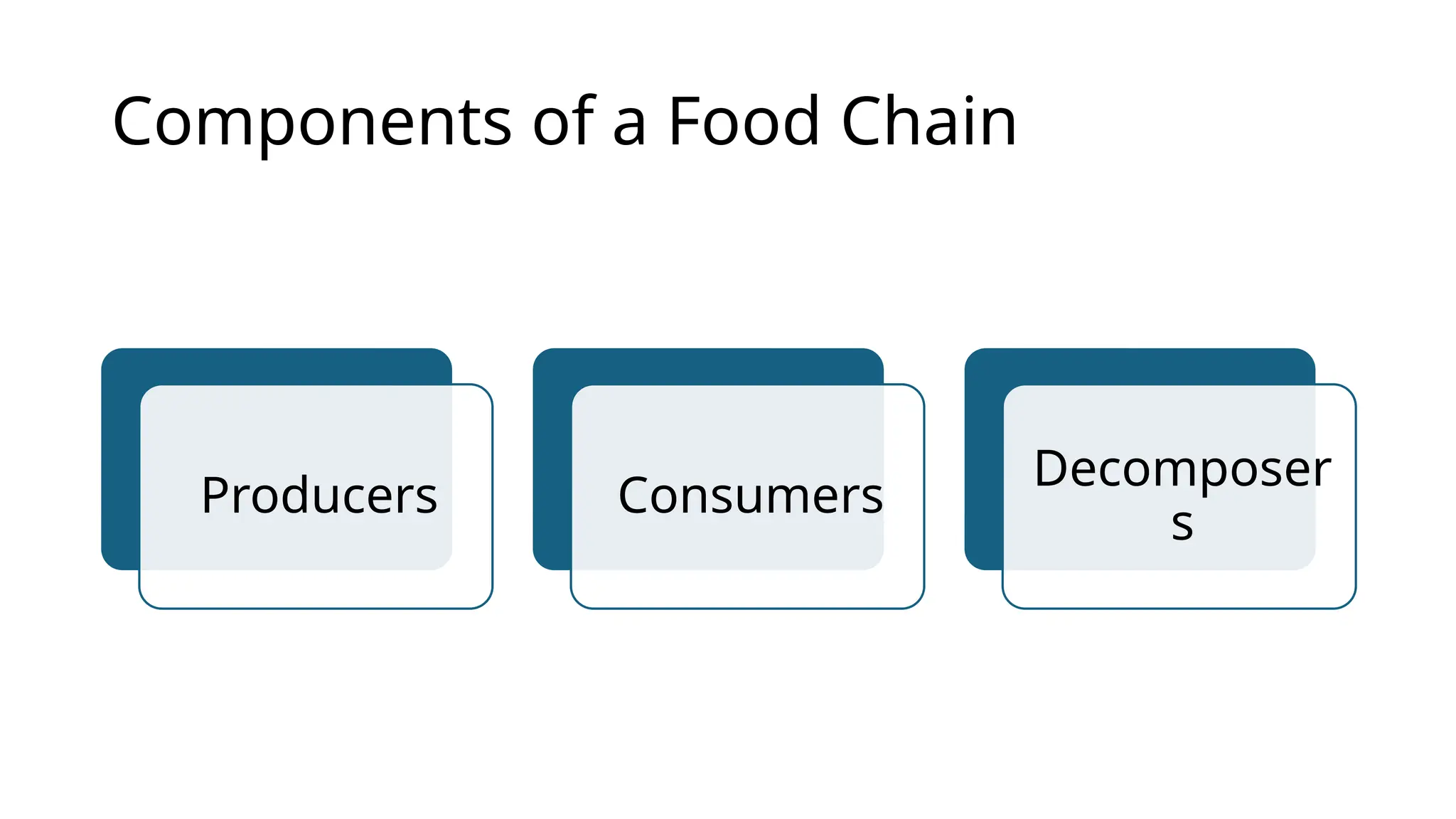 Food chain slides for teaching grade 8 learners | PPTX