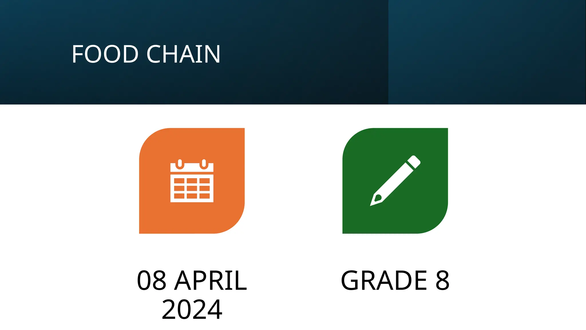 Food chain slides for teaching grade 8 learners | PPTX