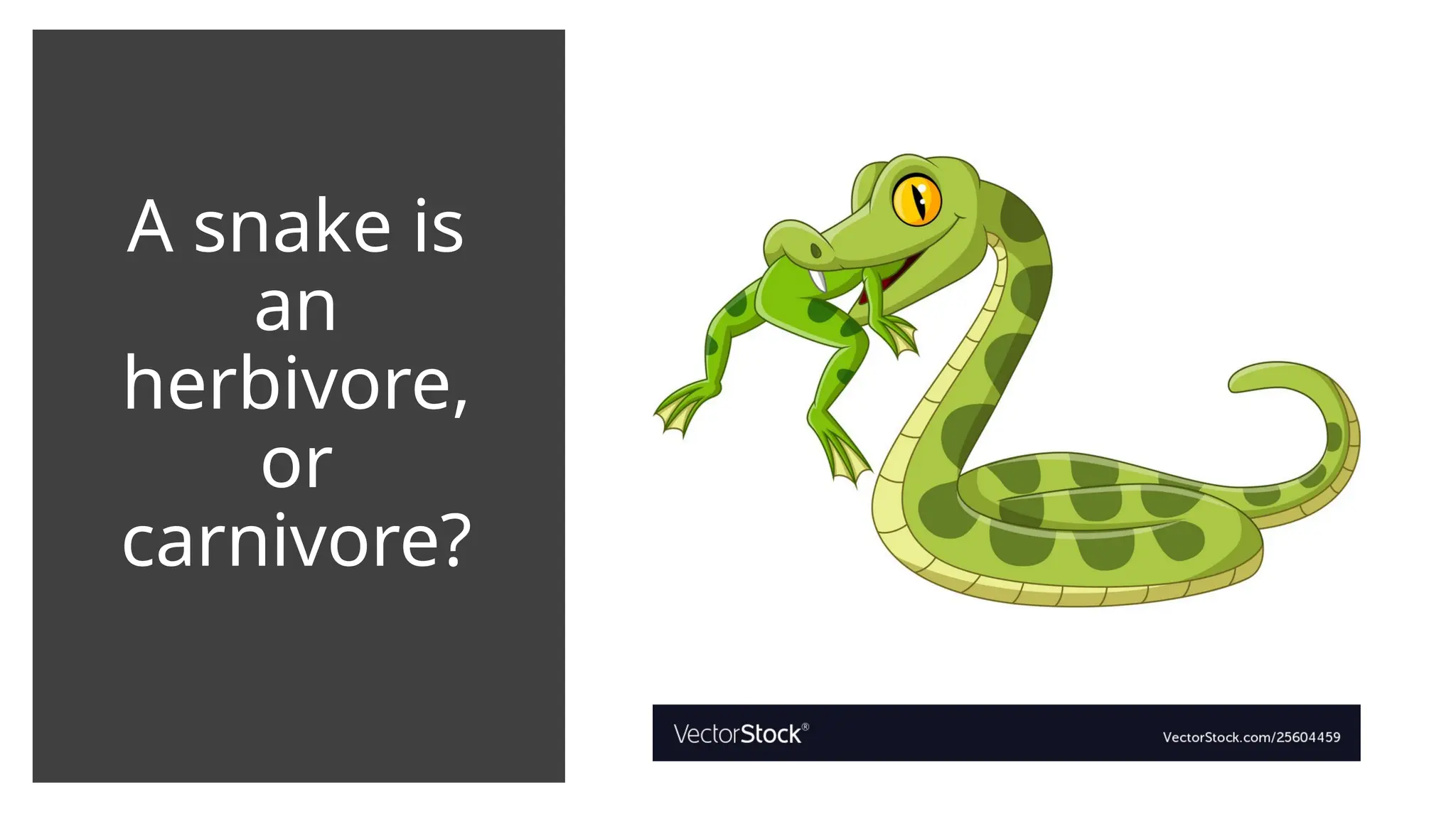 Food chain slides for teaching grade 8 learners | PPTX