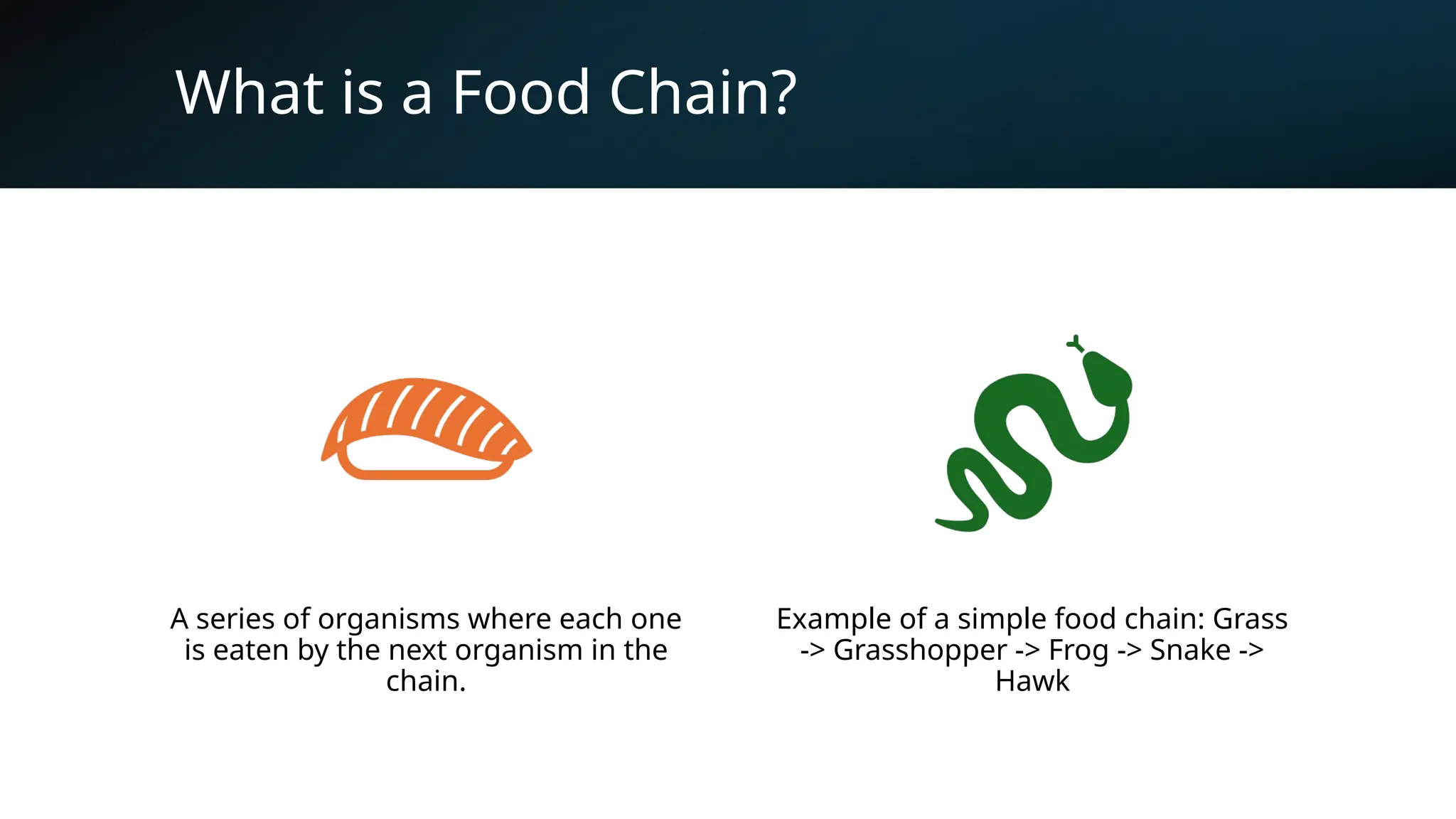 Food chain slides for teaching grade 8 learners | PPTX